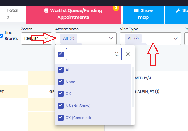 How to filter the Schedule view via Attendance and Visit Type? – HelloNote